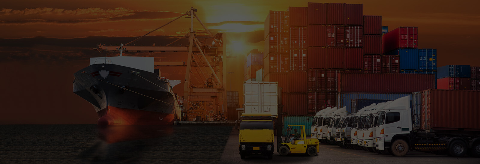 One of the top Dutch 4PL provider leverages the benefits of Control ...